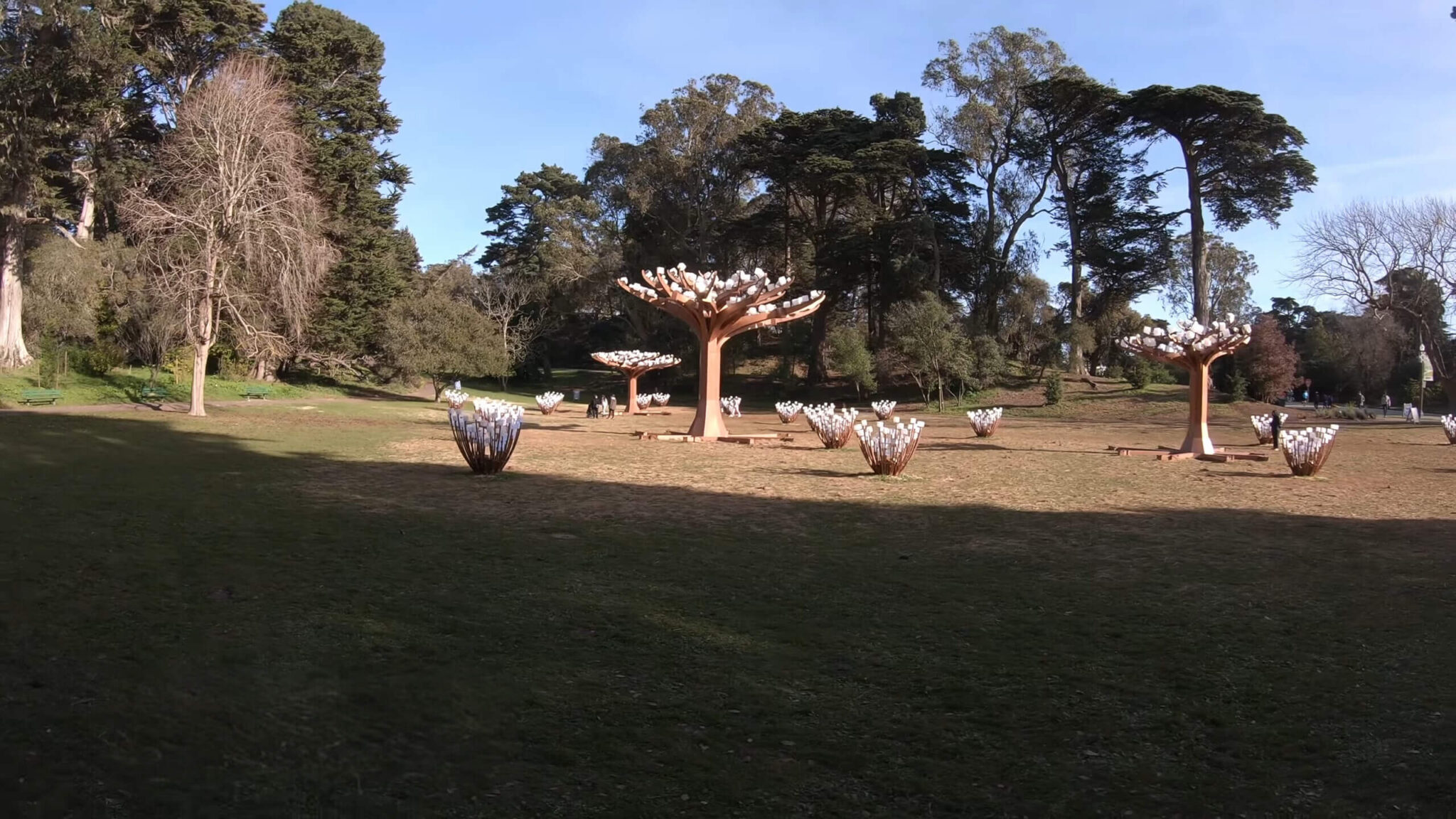 Home - Golden Gate Park